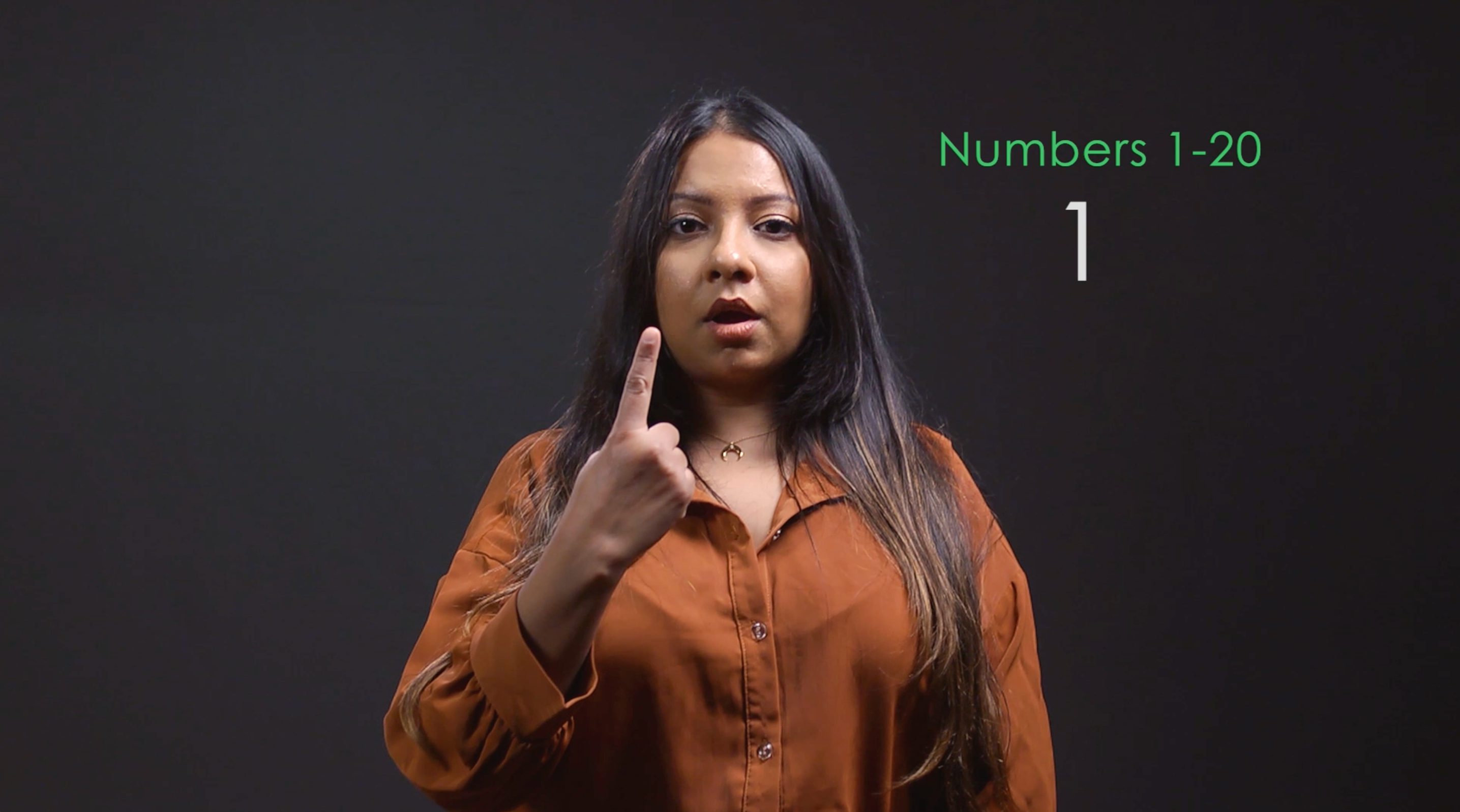 BSL Numbers